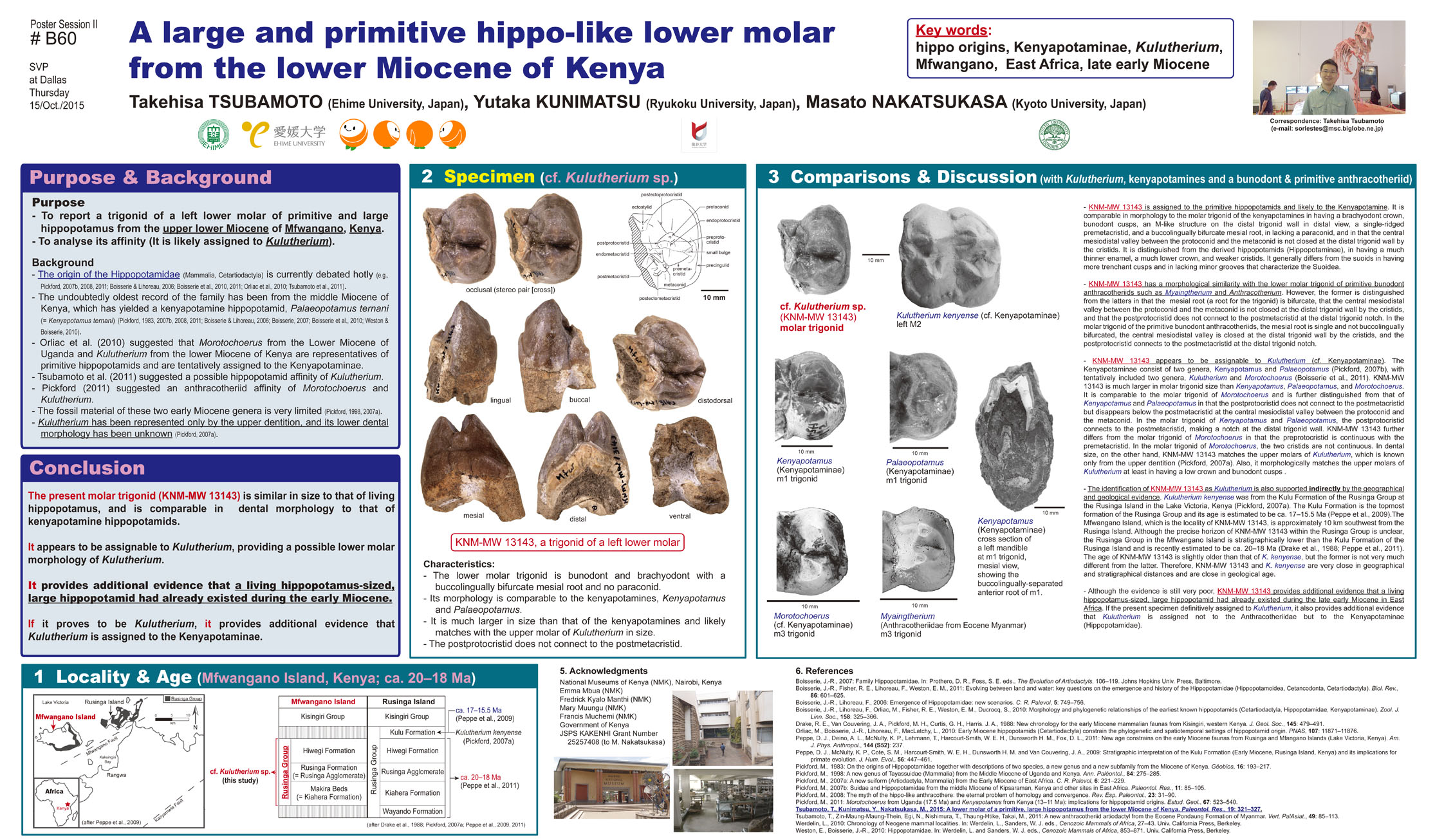 Tsubamoto-HP_research